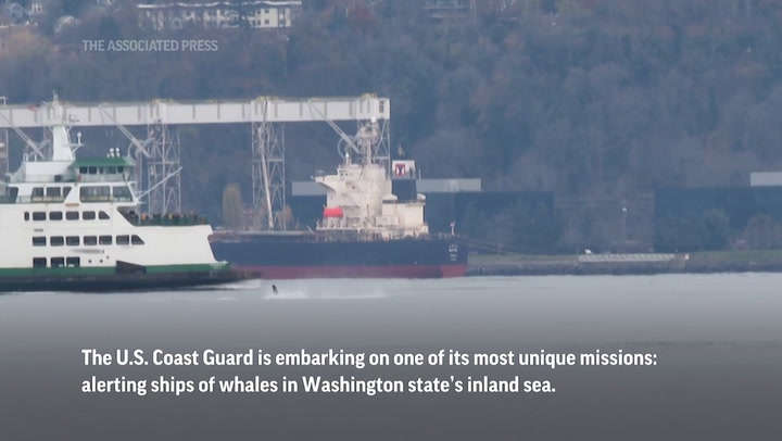 National Post | To Keep Whales Safe, Coast Guard Launches Ship Alert ...