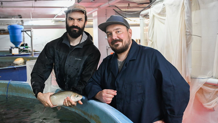 National Post | Montreal urban fish farm hopes to shake up aquaculture ...