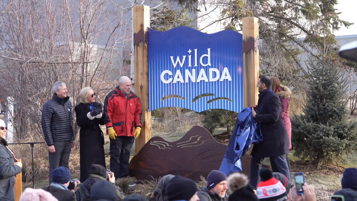 Calgary Herald | Wild Canada Officially Opens To The Public