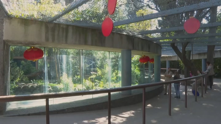 National Post | The Last Giant Panda In Latin America