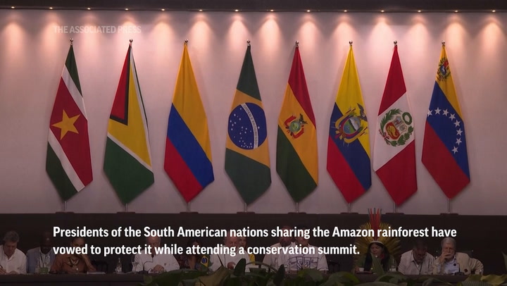 National Post | Leaders Of Amazon Nations Vow To Protect Rainforest
