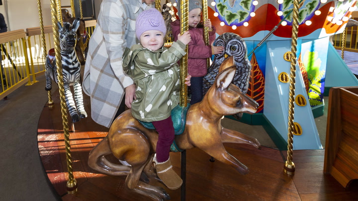 Edmonton Journal | Valley Zoo Conservation Carousel refurbished