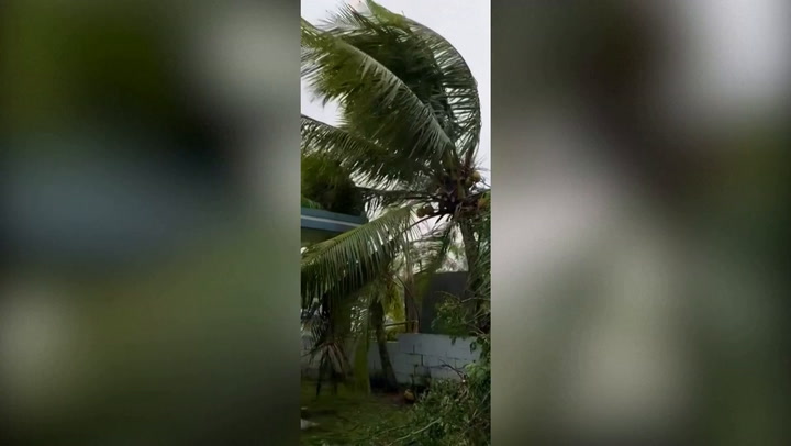 National Post | Trees Shake On Guam As Typhoon Mawar Closes In