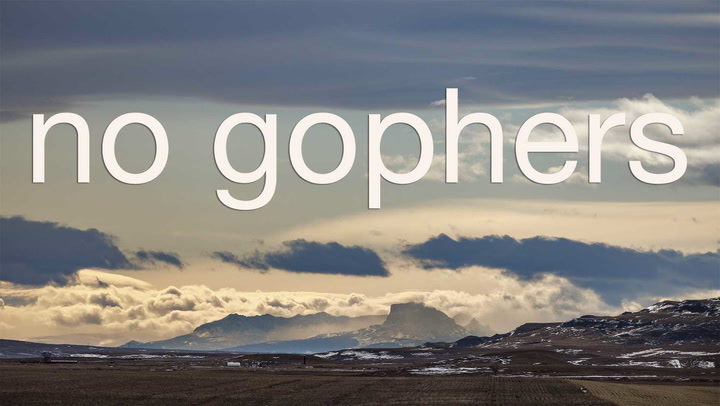 Calgary Sun | No Gophers