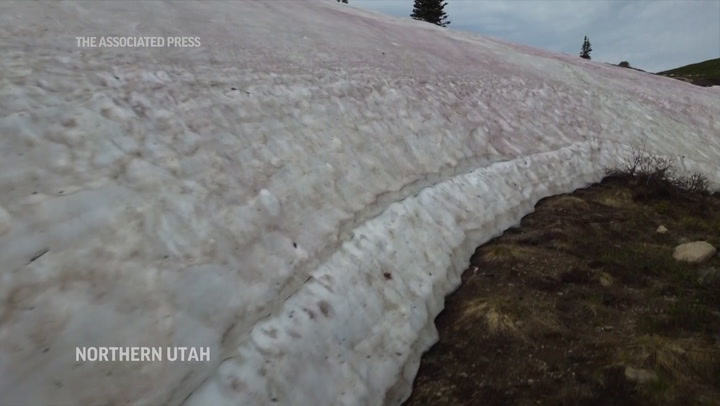 National Post | 'Watermelon Snow' Appears In Utah Mountains