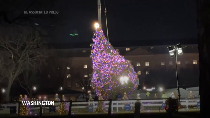 National Post | National Christmas Tree Is Back Upright After It Toppled