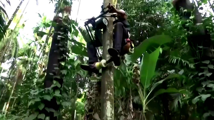 National Post | Indian farmer invents tree-climbing 'scooter'
