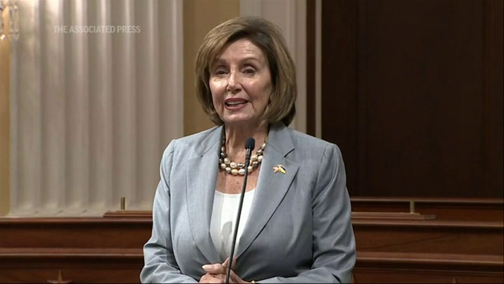 National Post | Official Portrait Of Us Civil Rights Icon Unveiled