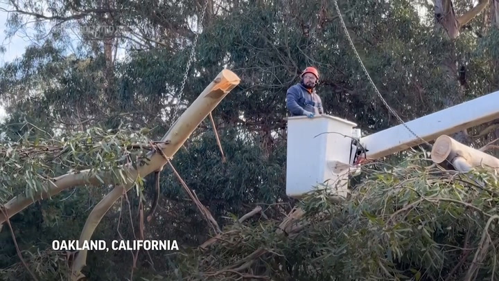 National Post | Giant Tree Crushes Oakland Home As Powerful Storm ...