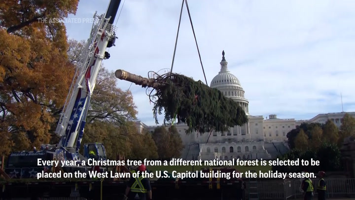 National Post | Capitol Christmas Tree Honors Native Americans