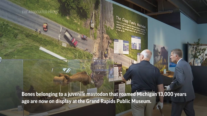 National Post | Mastodon Bones Discovered By Michigan Drainage Crew Go ...