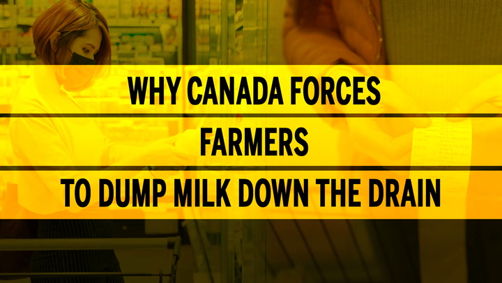 National Post | Why Canada forces farmers to dump milk down the drain