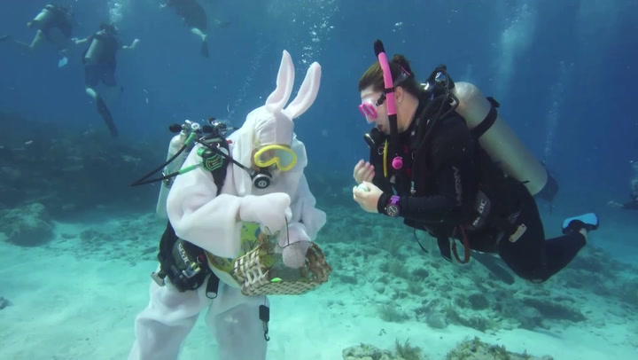 National Post | Diving For Easter Eggs Off The Florida Coast