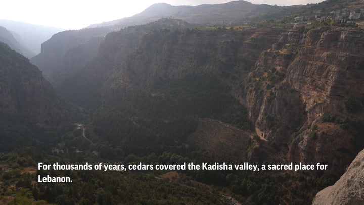 National Post | Kadisha Valley, One Of Lebanon'S Most Sacred Forest And ...