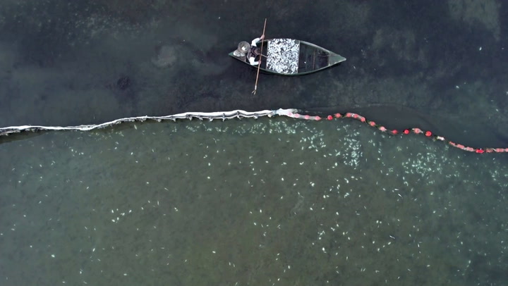 National Post | Drone shows thousands of dead fish in Greek lagoon