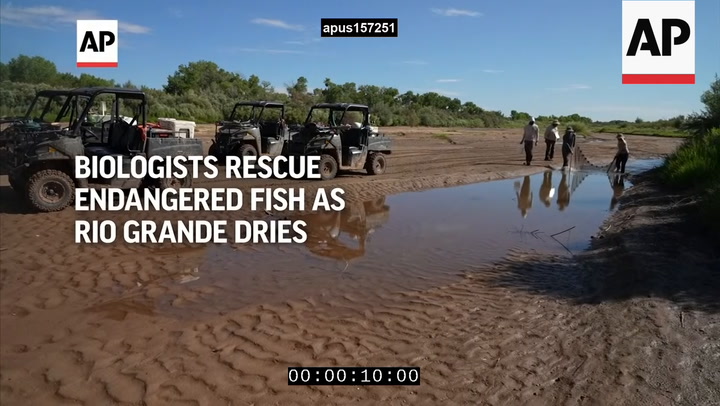 National Post | Biologists Rescue Tiny Fish As Rio Grande Dries