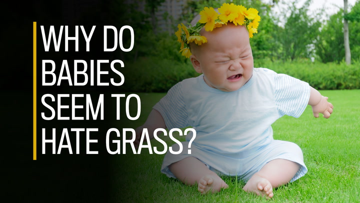 National Post | Watch these babies instinctually avoid grass