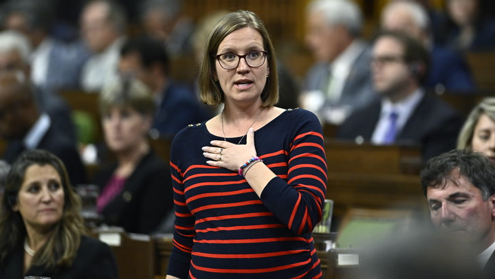 Toronto Sun | CAUGHT ON CAMERA: Liberals tried to erase record of Nazi ...