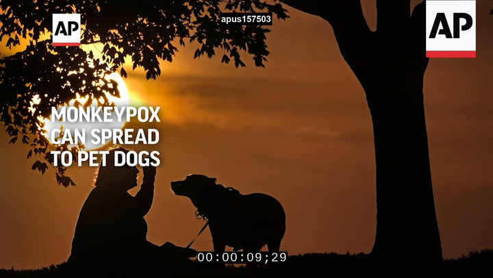 National Post | Monkeypox Can Spread To Dogs
