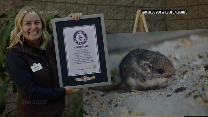 National Post | Tiny Zoo Mouse Gets Guinness World Record For Longevity ...