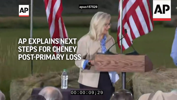 National Post | Ap Explains Next Steps For Cheney Post-Primary Loss